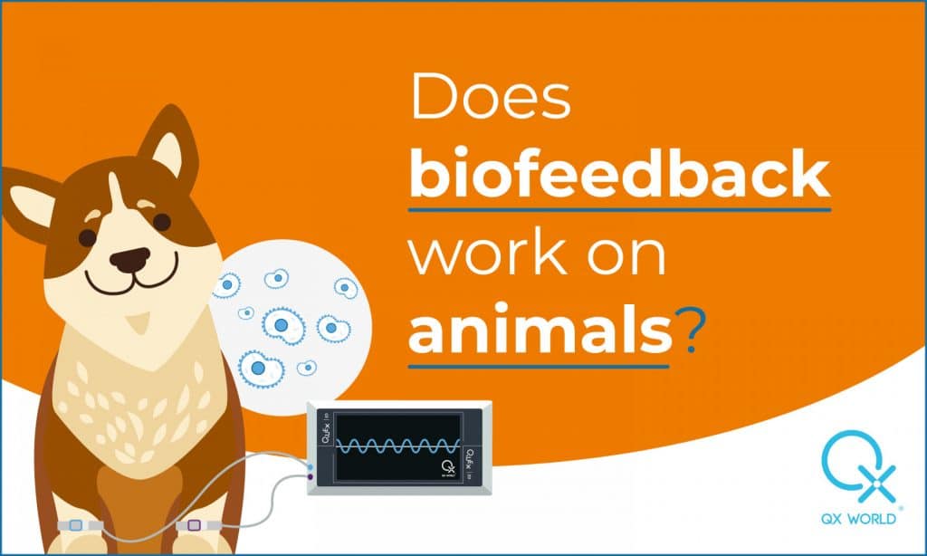 Does Biofeedback work for Animals, too - QX World